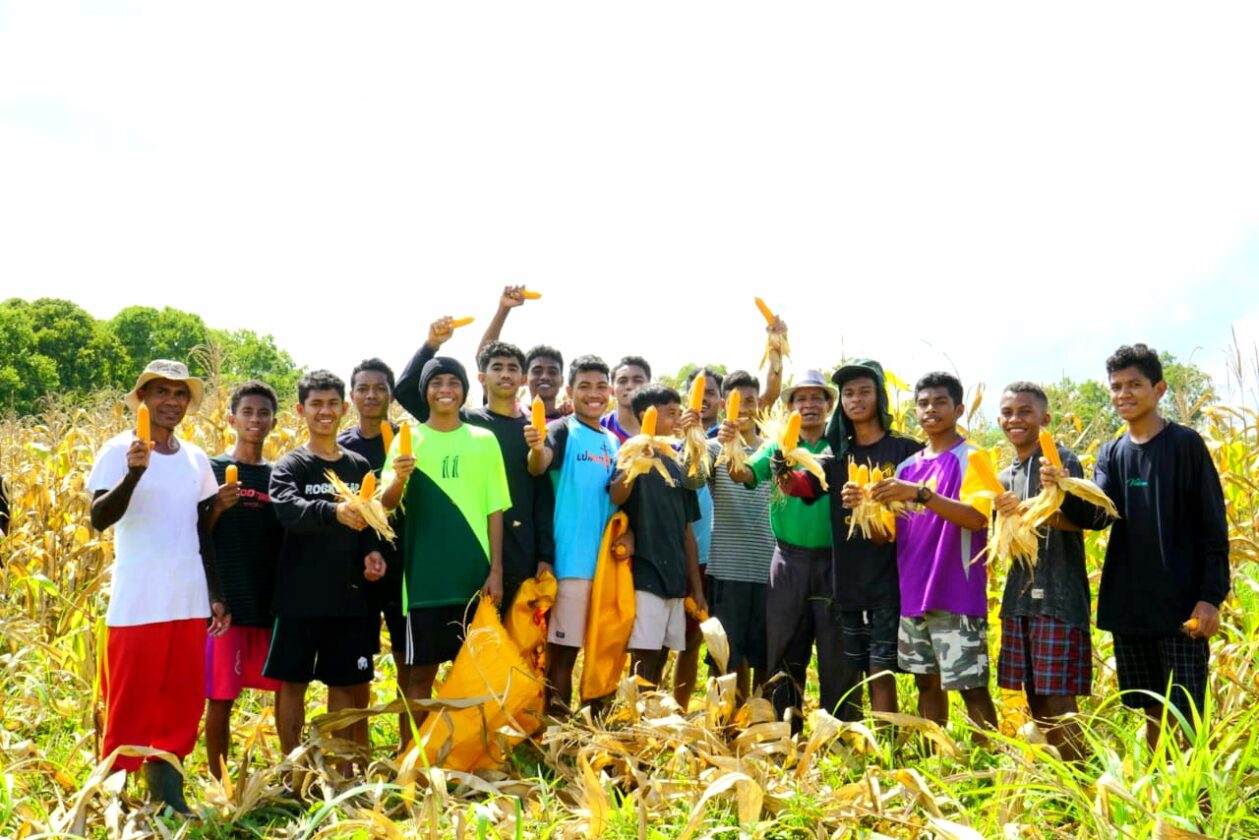 Seminari Lalian Panen Raya Jagung 10 Hektar: Kerja Keras Para Seminaris | HIDUPKATOLIK.com